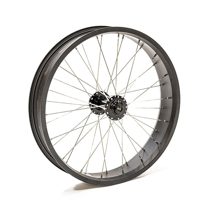 Front Wheel Assembly 20x4 - Bagus